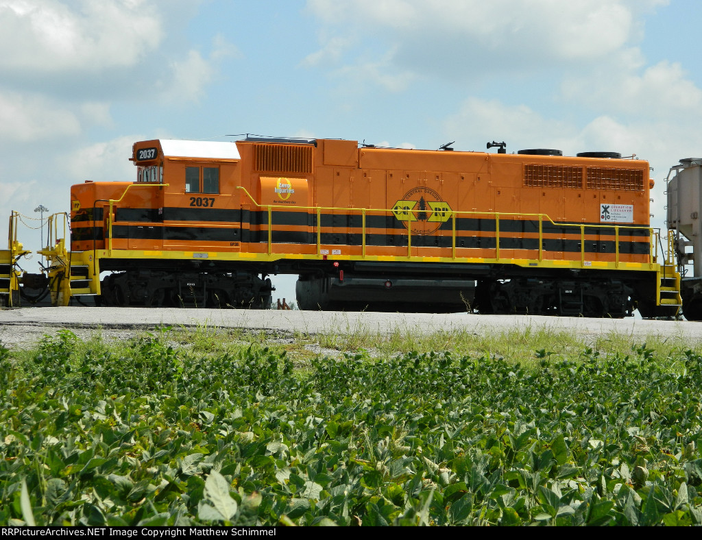 Central Oregon Pacific - GP38 2036 2037